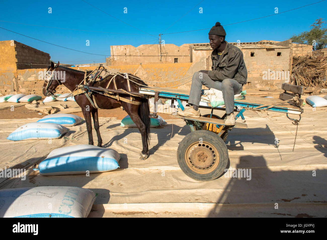 Rice Transport High Resolution Stock Photography and Images - Alamy