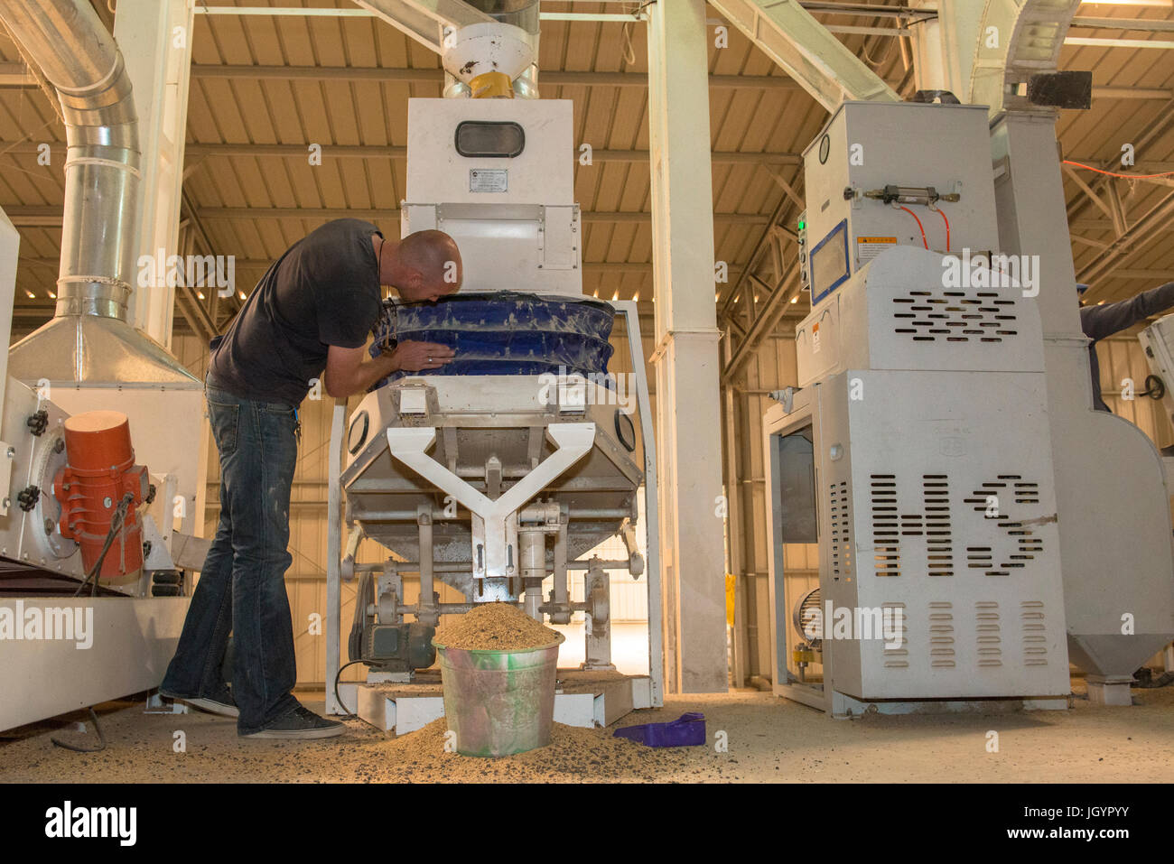 Picture Of Rice Manufacturing Plant