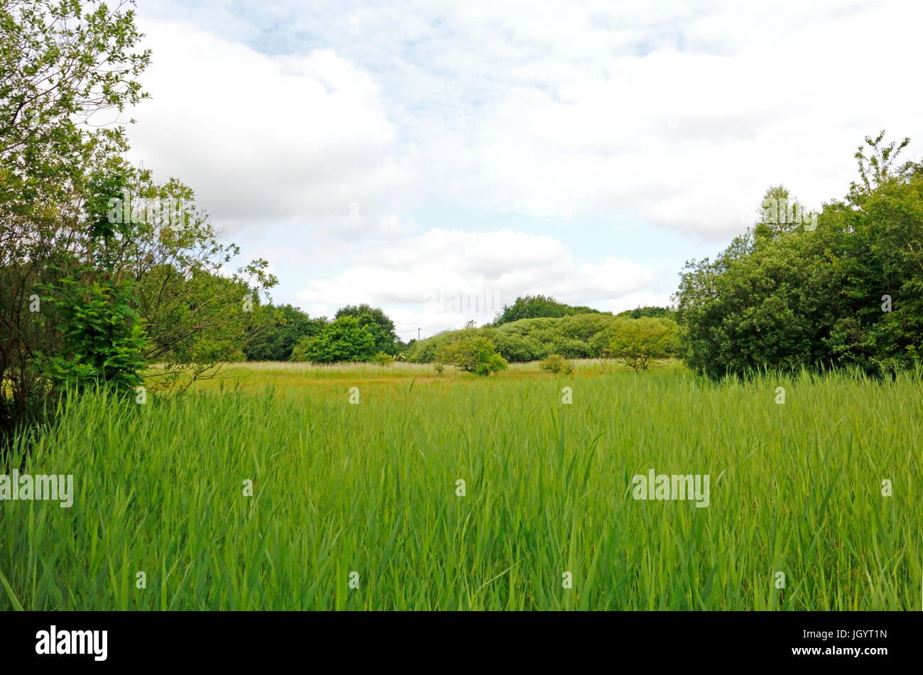 Southrepps Common High Resolution Stock Photography and Images - Alamy