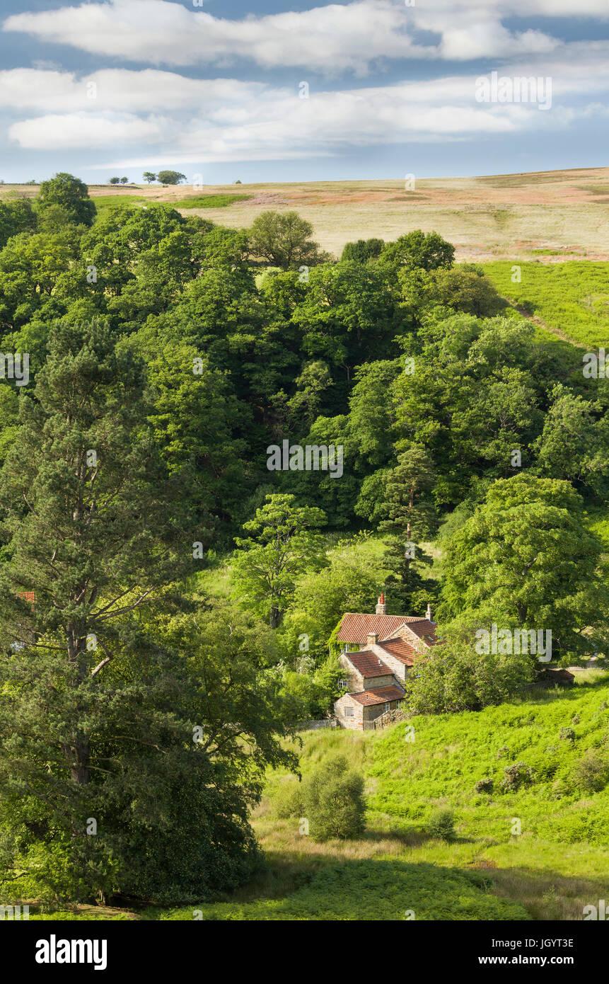 The remote and beautiful hamlet of Darnholme near Goathland ...