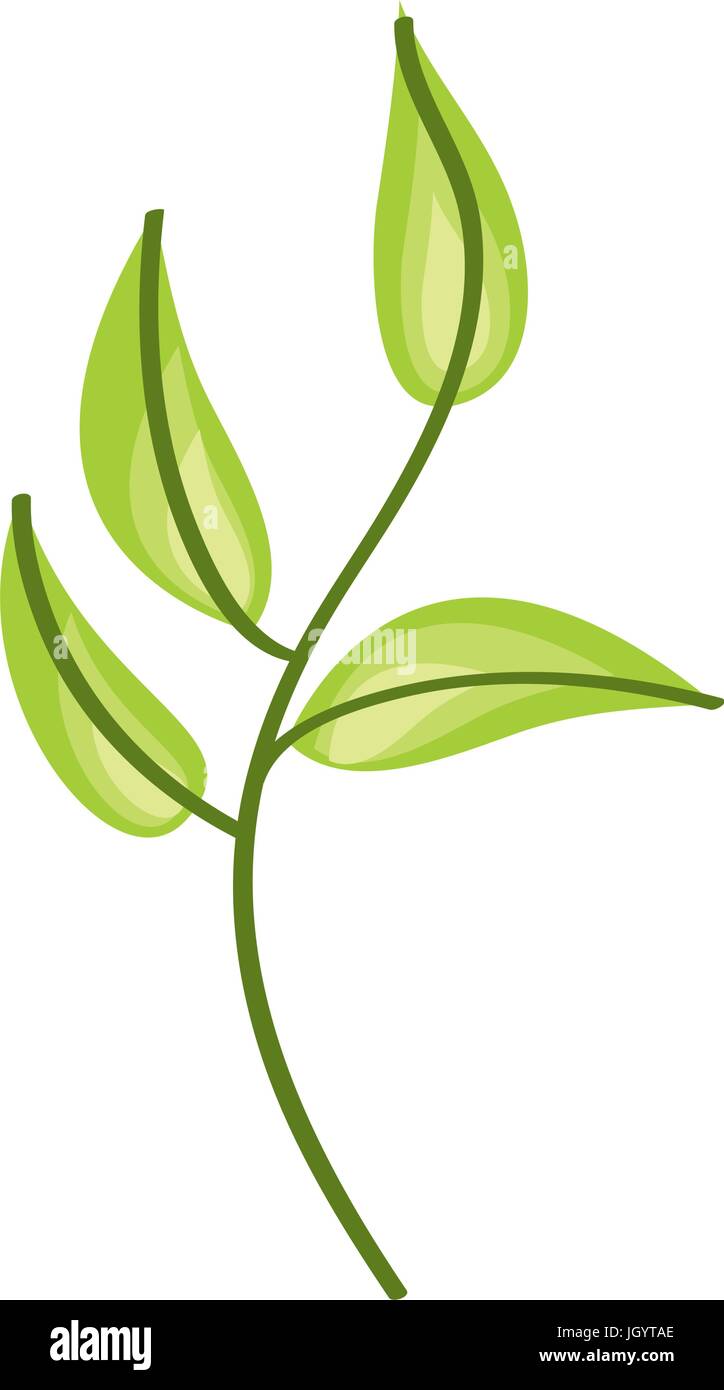 leaf plant decorative icon Stock Vector Image & Art - Alamy