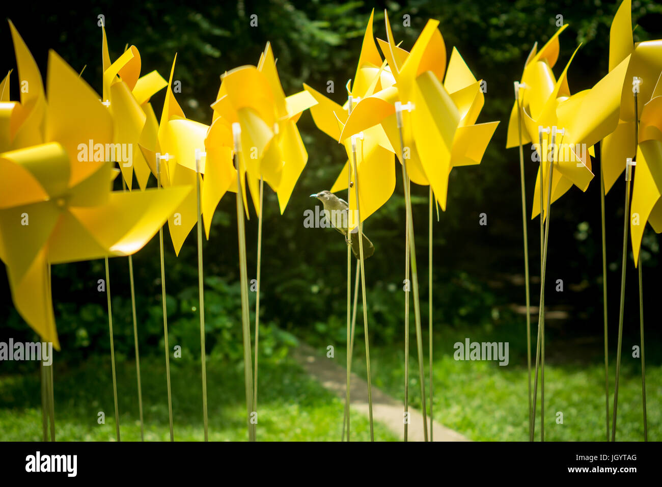 The Connective Project, consisting of 7000 handmade pinwheels, made by ...