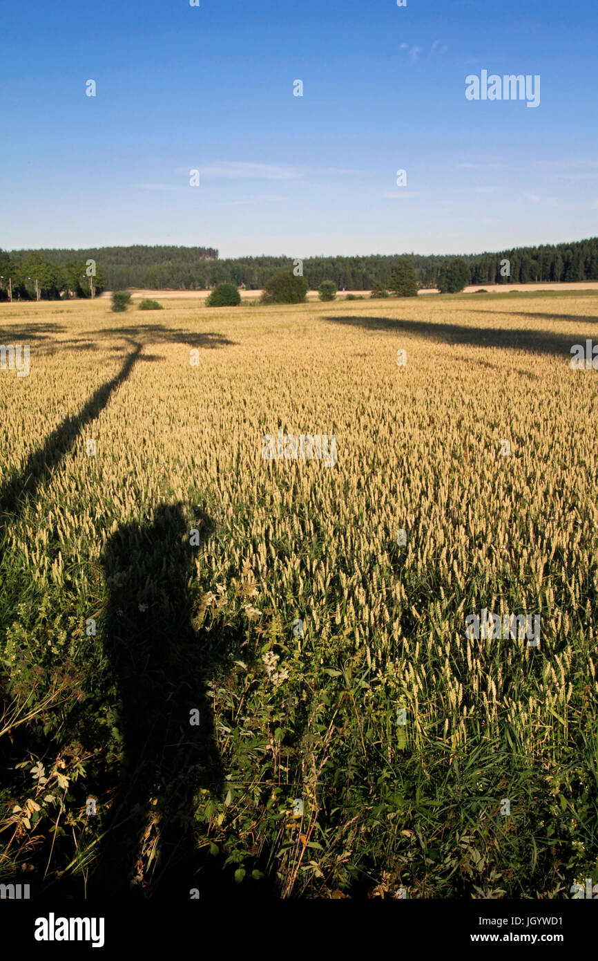 Pilgrim walking past a field Stock Photo - Alamy