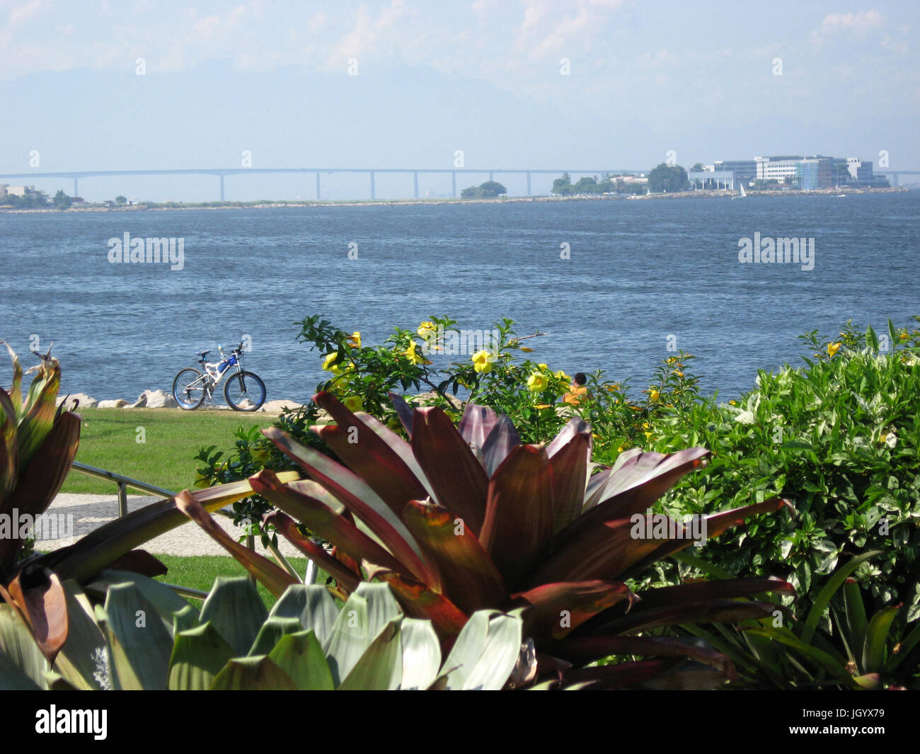 Landscape, Botafogo, Rio de Janeiro, Brazil Stock Photo - Alamy