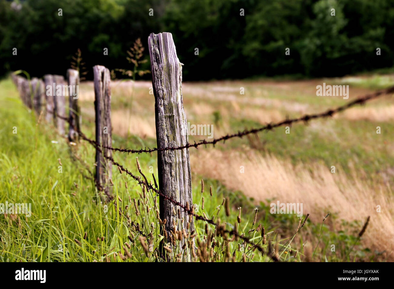 Old country fence hi-res stock photography and images - Alamy