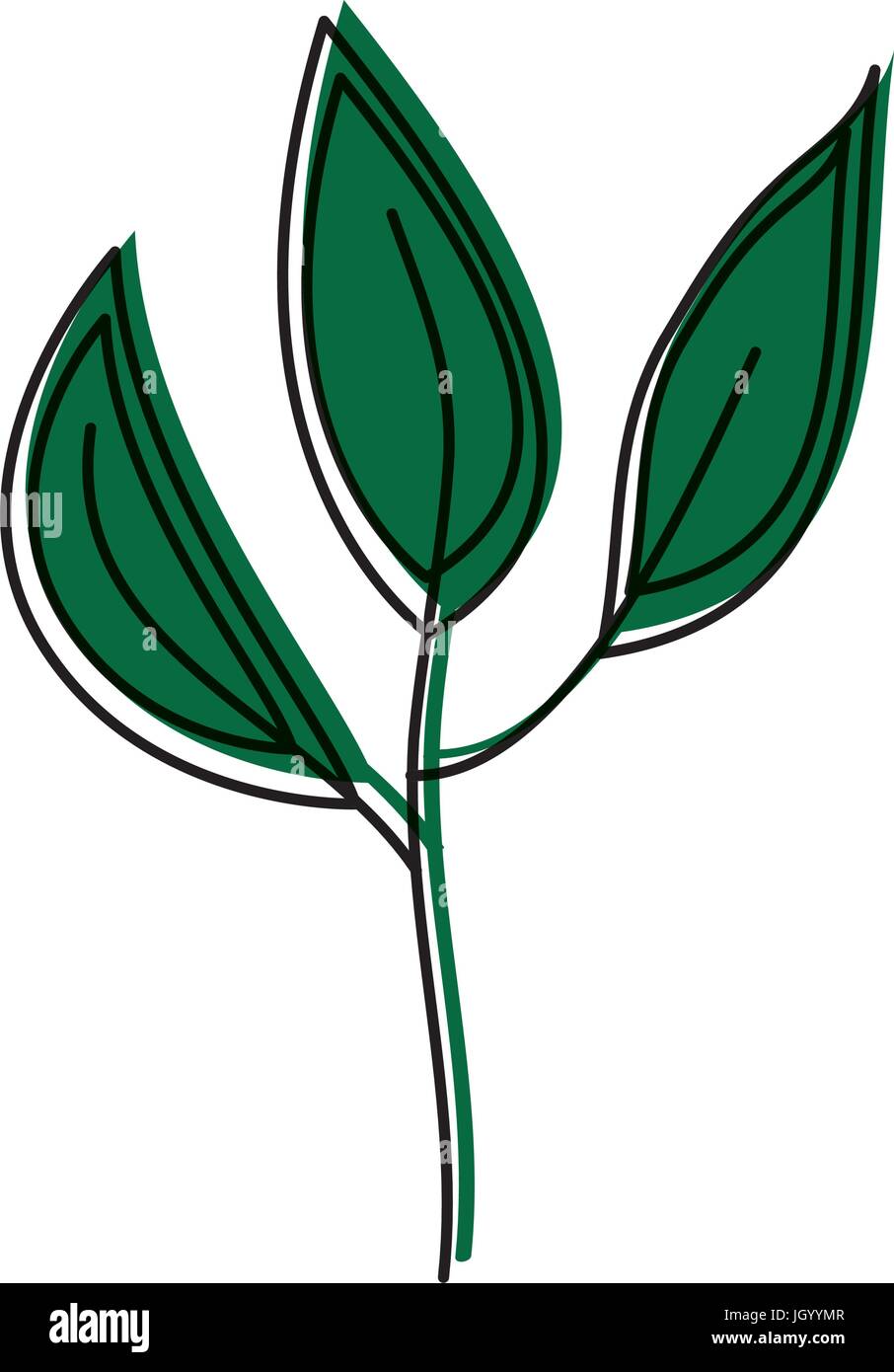 leaf plant decorative icon Stock Vector Image & Art - Alamy
