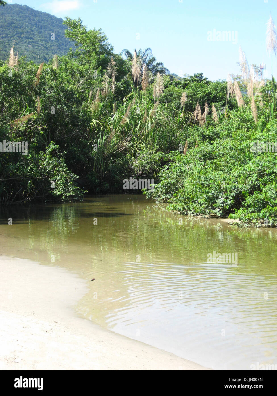Beach, Landscape, Trindade, Rio de Janeiro, Brazil Stock Photo - Alamy