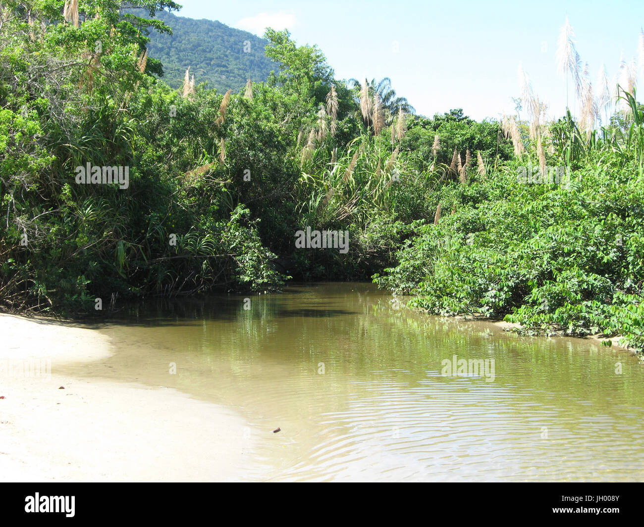 Beach, Landscape, Trindade, Rio de Janeiro, Brazil Stock Photo - Alamy