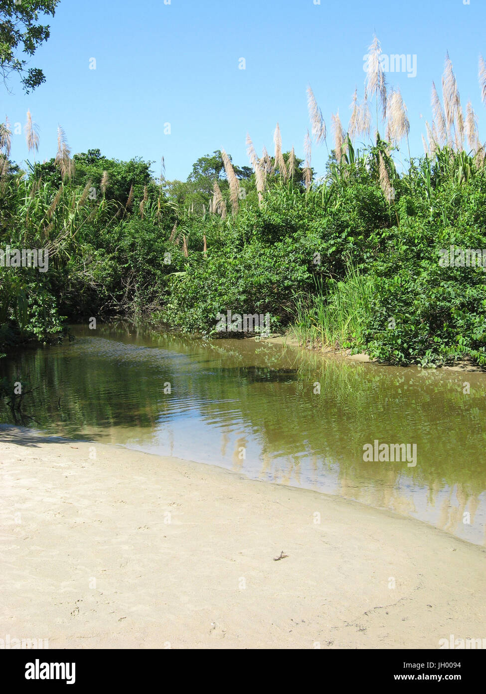Beach, Landscape, Trindade, Rio de Janeiro, Brazil Stock Photo - Alamy