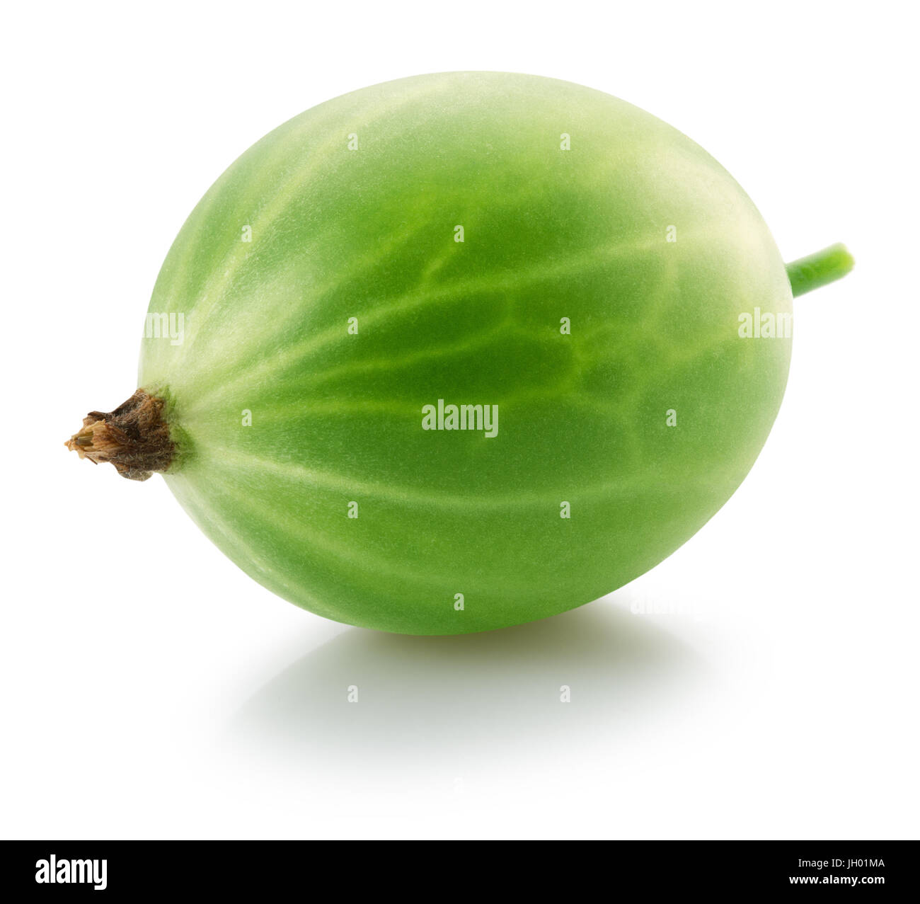 gooseberry isolated on a white background Stock Photo - Alamy