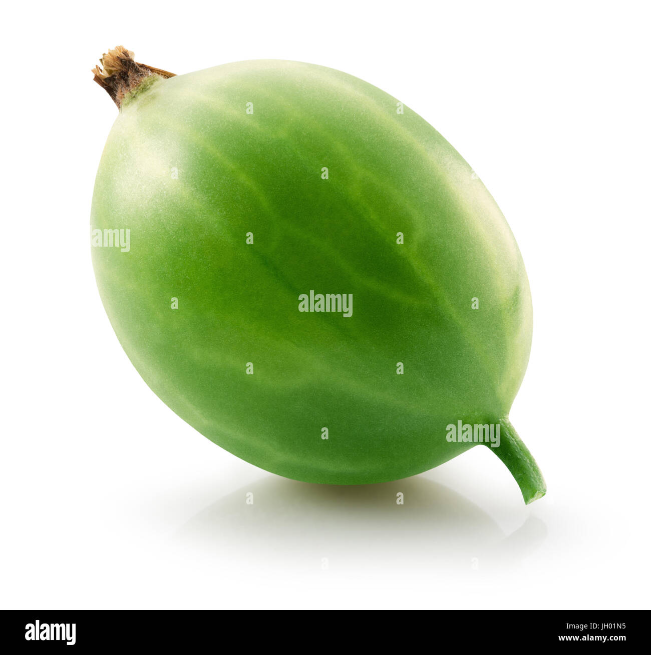 gooseberry isolated on a white background Stock Photo - Alamy