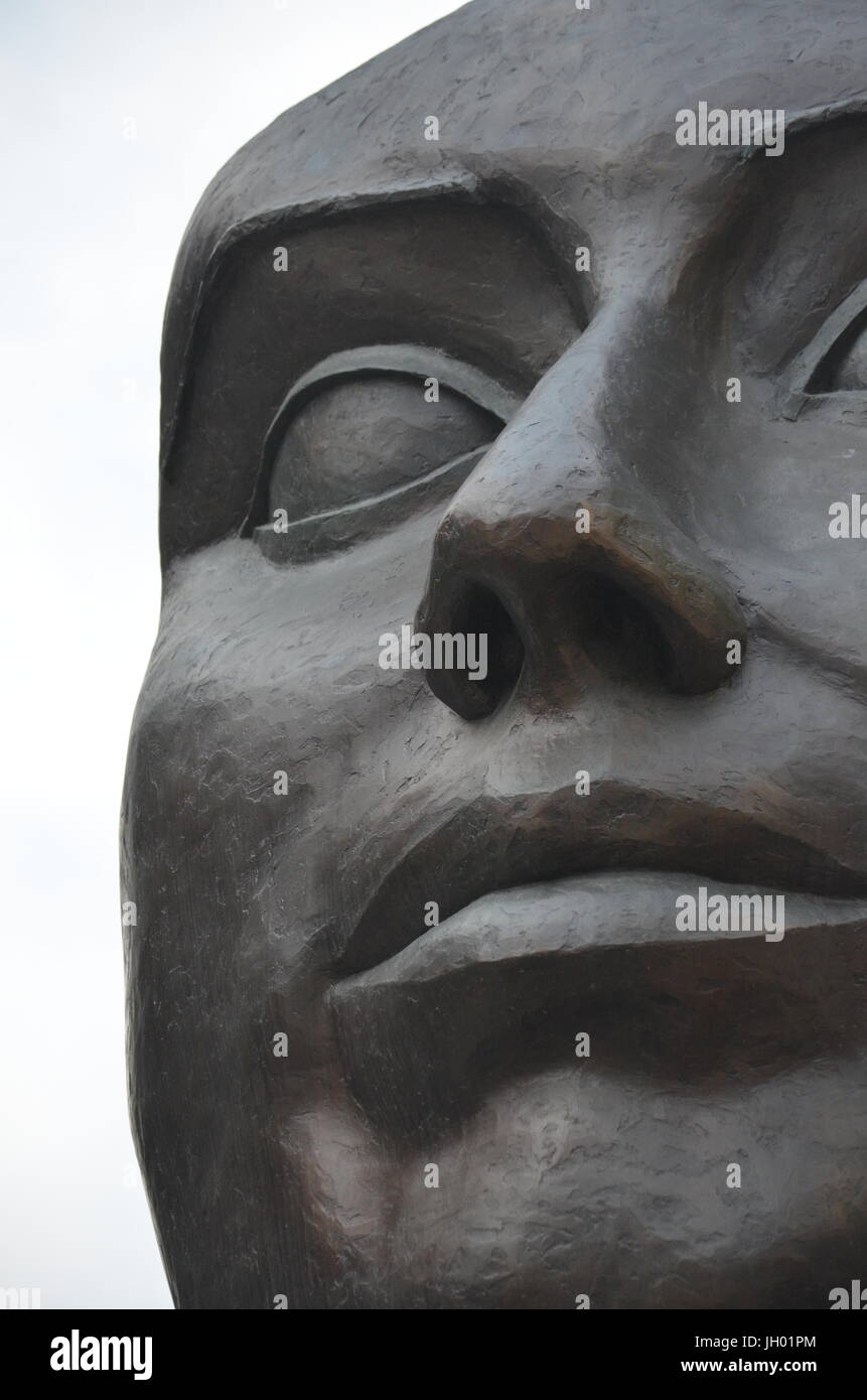 Face of Determination Stock Photo - Alamy