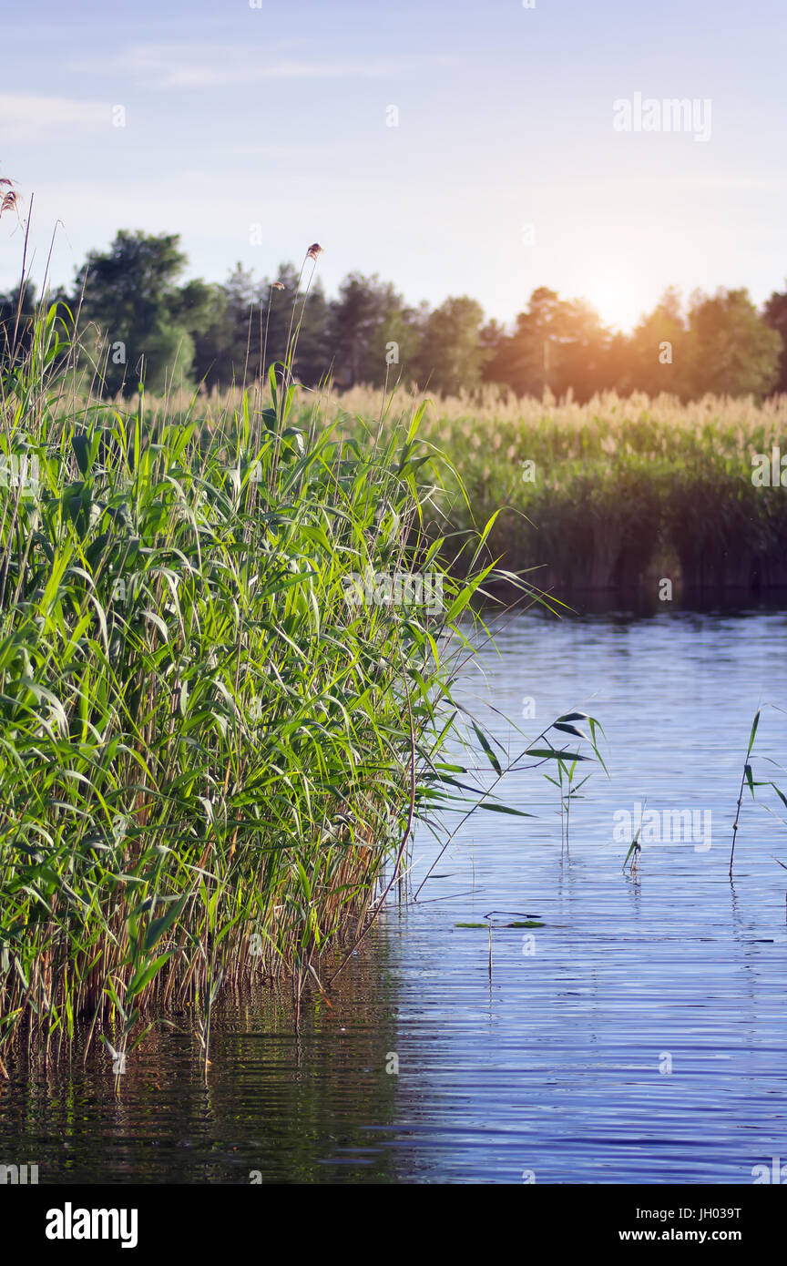 River landscape nature hi-res stock photography and images - Alamy