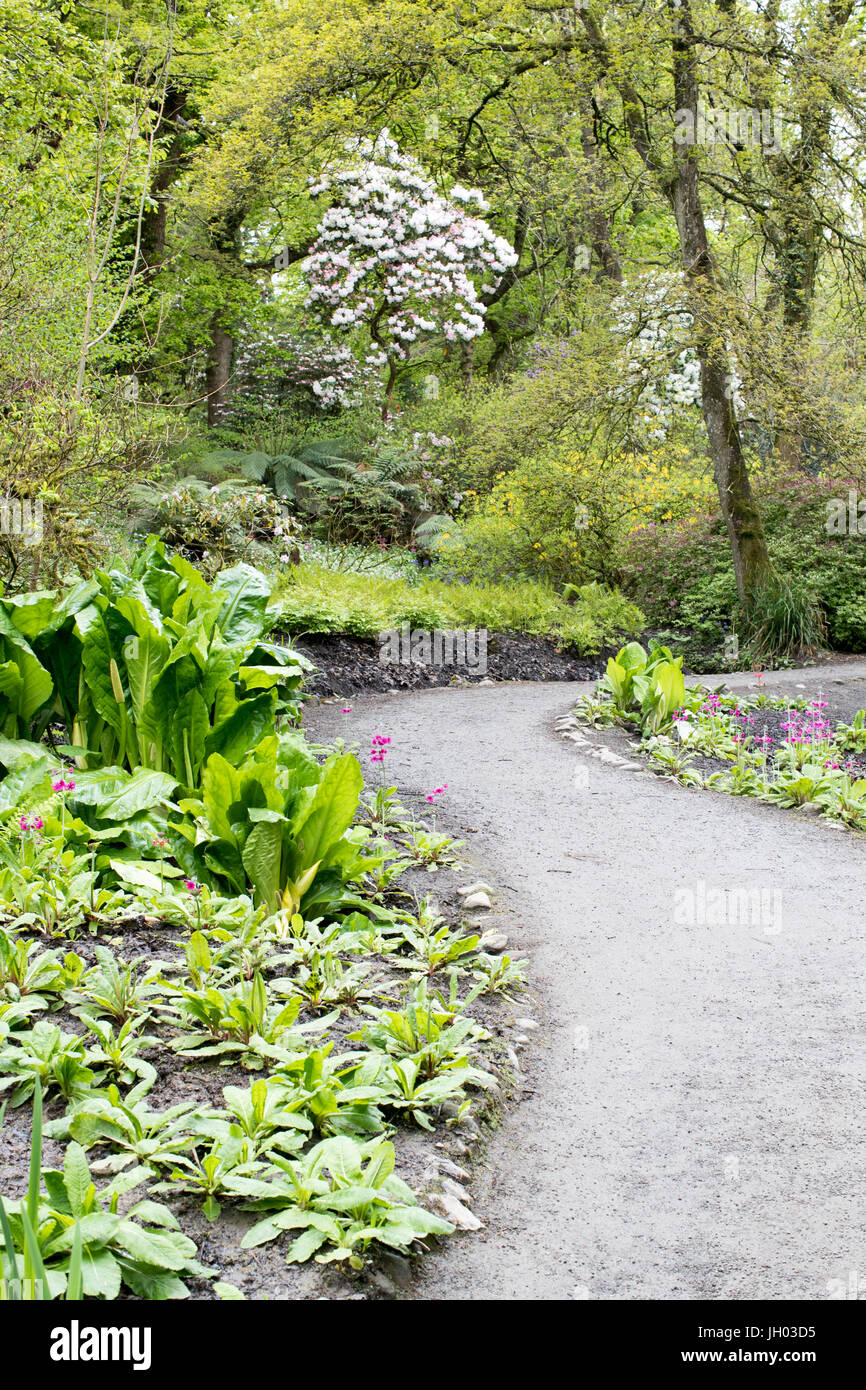Spring garden formal with neat path and borders taken in uproght format ...