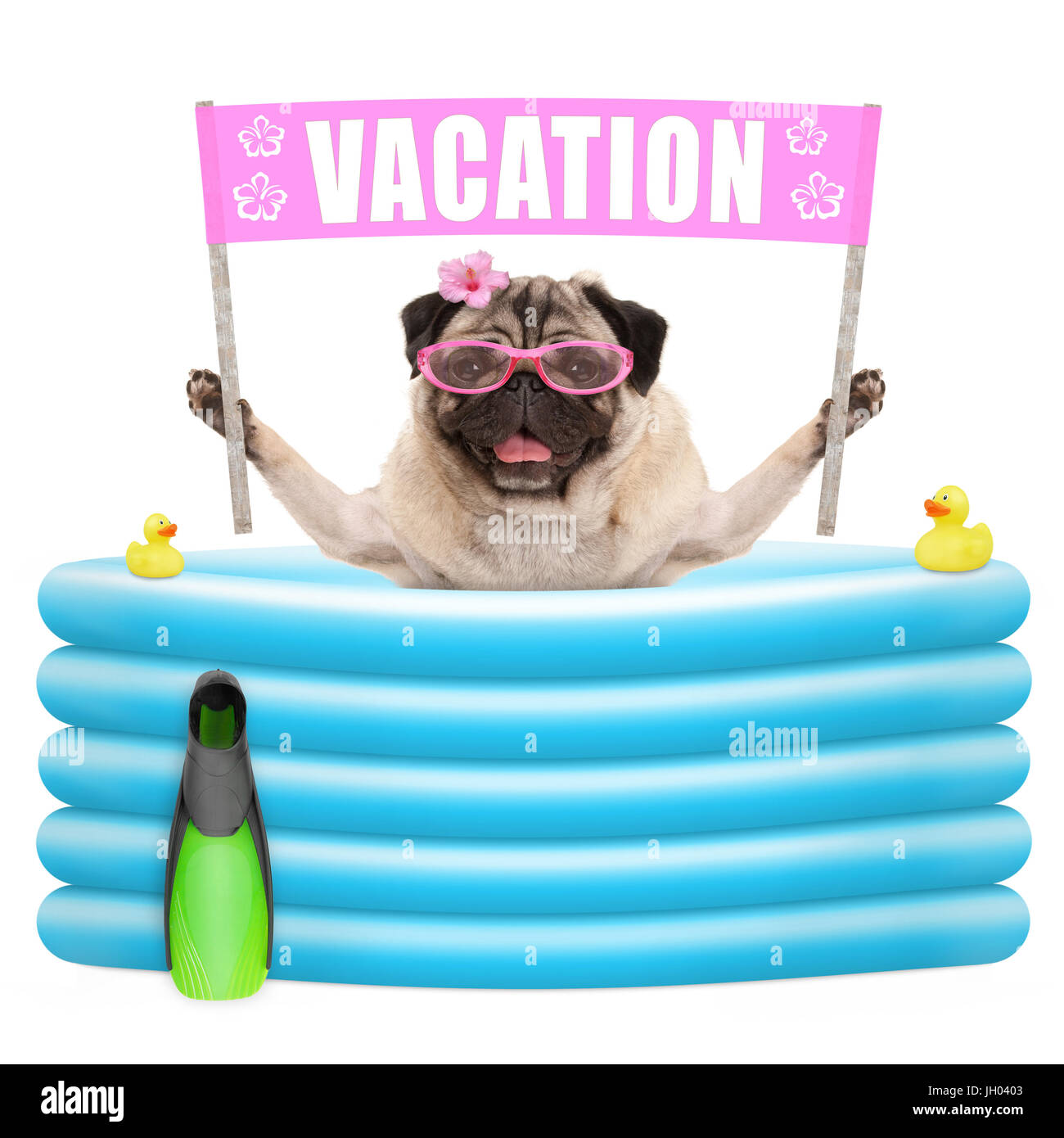 happy summer pug dog with sunglasses and pink banner sign with text ...