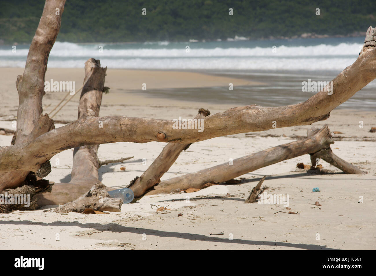 Grande trunk hi-res stock photography and images - Alamy