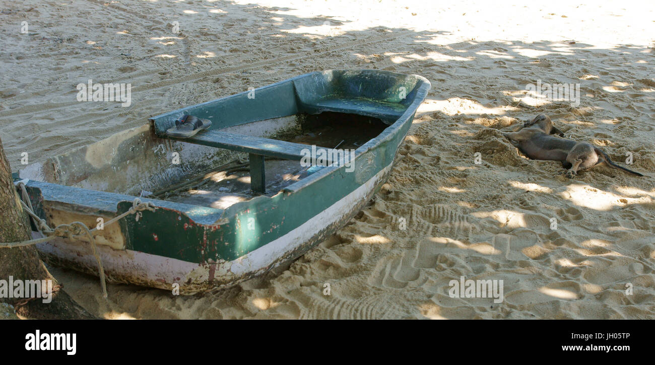 Beach boat ilha grande hi-res stock photography and images - Alamy