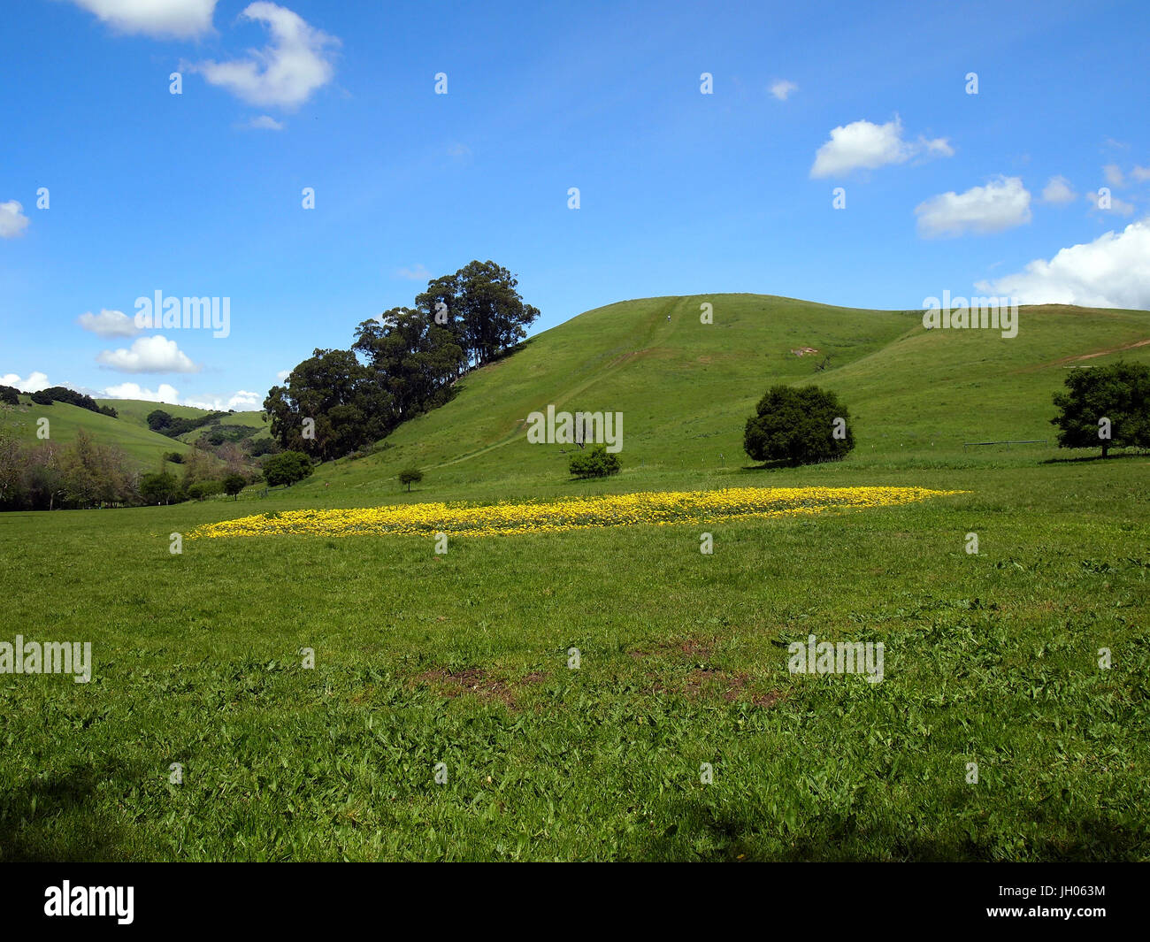 Garin Regional Park, , EBRP, California, USA Stock Photo - Alamy