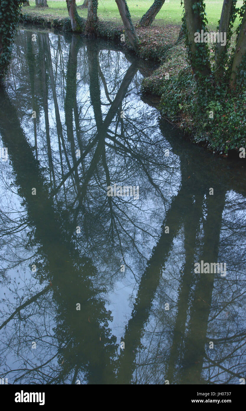 Reflex in the Water, Trees, Essonne (91), France Stock Photo - Alamy