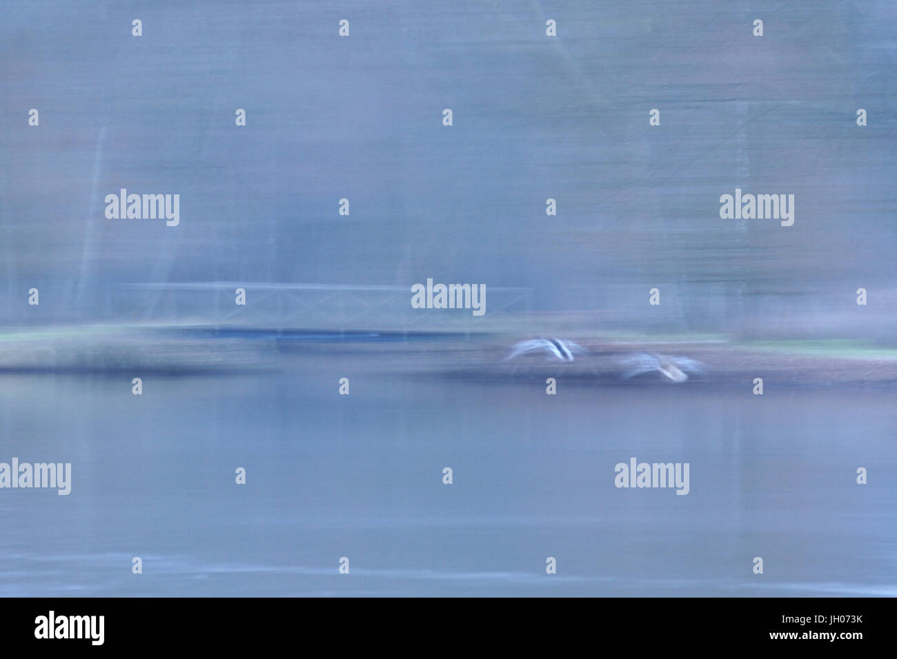 Park, Landscape, Essonne (91), France Stock Photo - Alamy