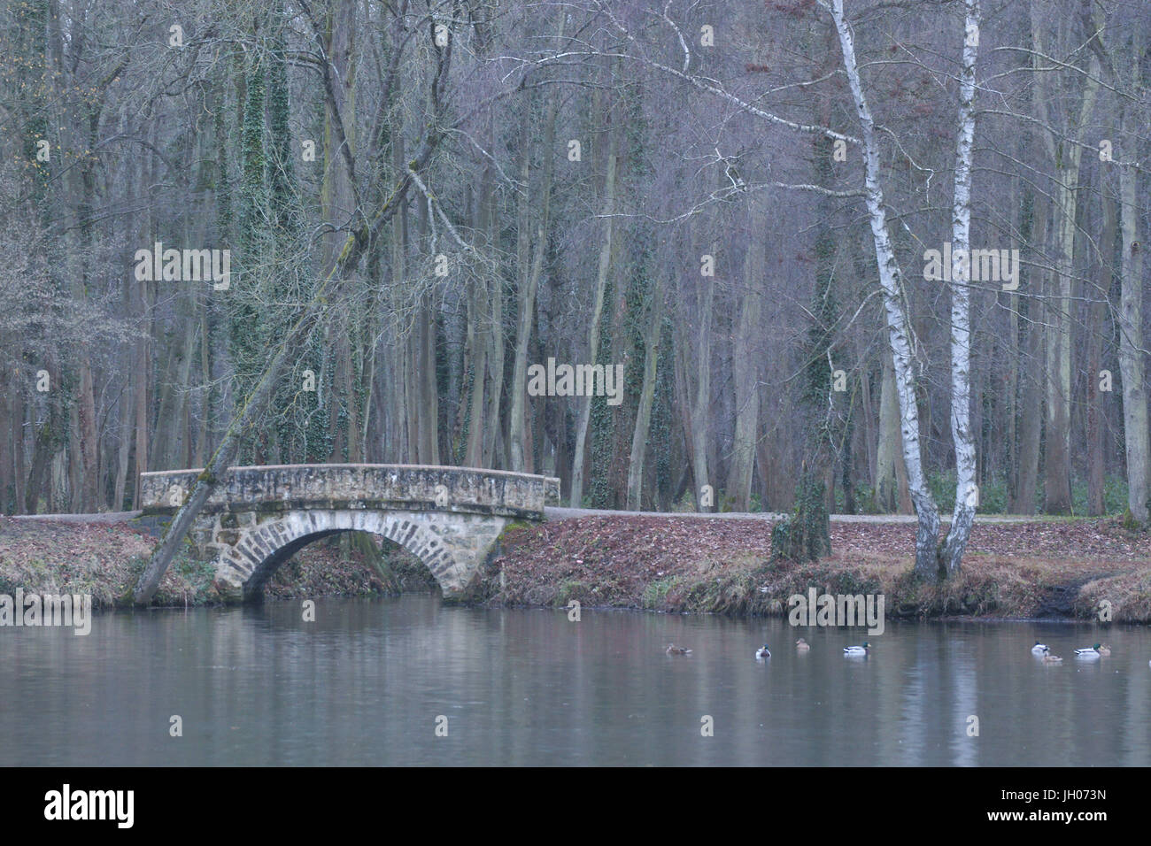 Park, Landscape, Essonne (91), France Stock Photo - Alamy