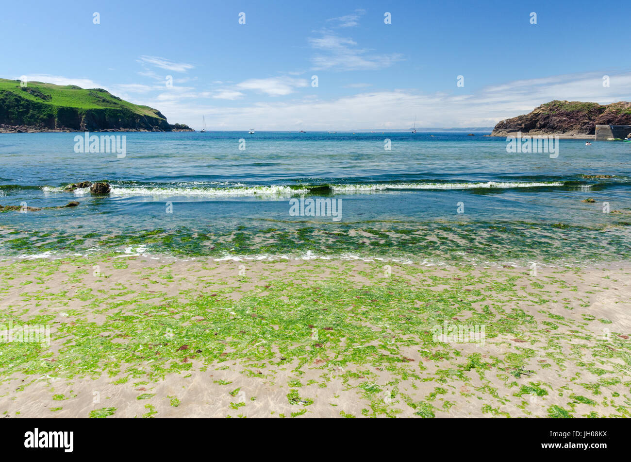 The beach at the coastal village of Hope Cove in the South Hams, Devon ...