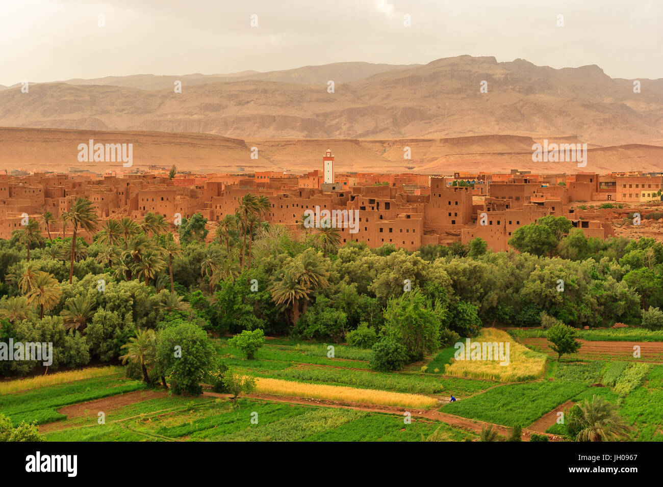 Desert oasis tinghir morocco hi-res stock photography and images - Alamy