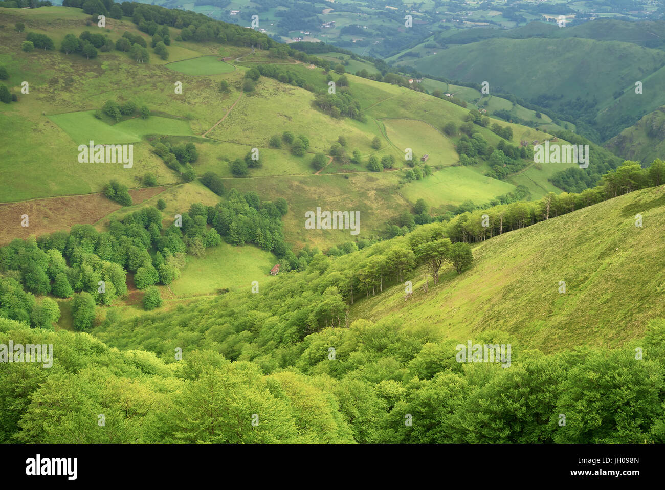 The green mountains of the French Pyrenees, Camino de Santiago Stock ...