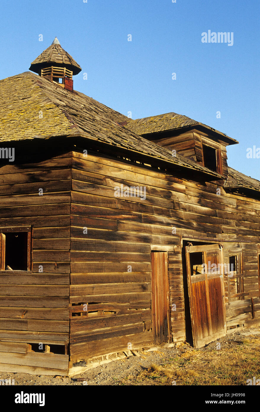 Abandoned orchard hi-res stock photography and images - Alamy