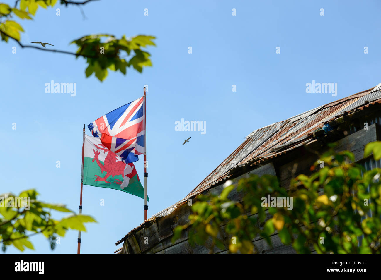 Welsh flag and union jack hi-res stock photography and images - Alamy