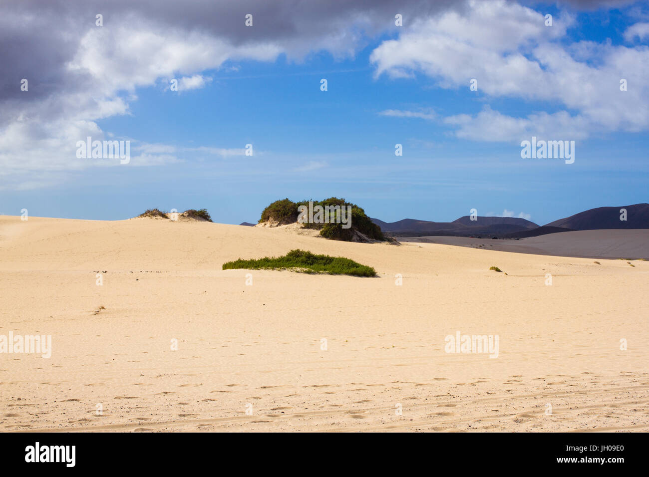 Bright sand and sky at Atlantic ocean background. Sahara dunes, beauty ...