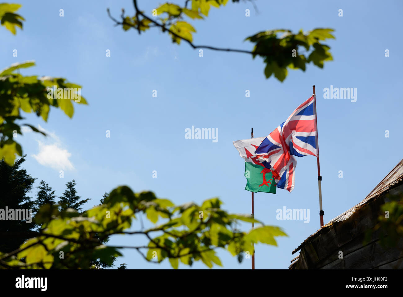 Welsh baner hi-res stock photography and images - Alamy