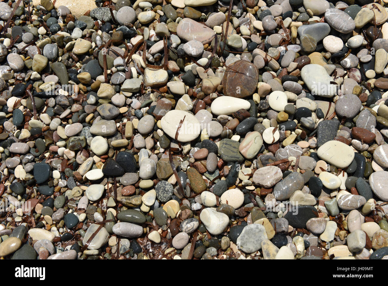 Pebble stone background. Pattern of wet sea stones Stock Photo - Alamy
