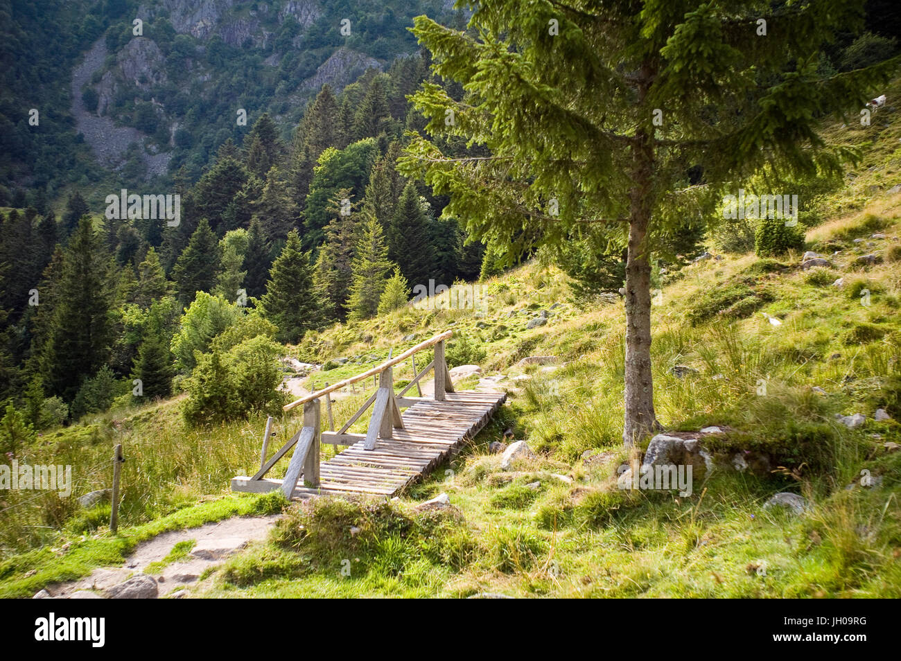 Wooden pathway above water hi-res stock photography and images - Alamy