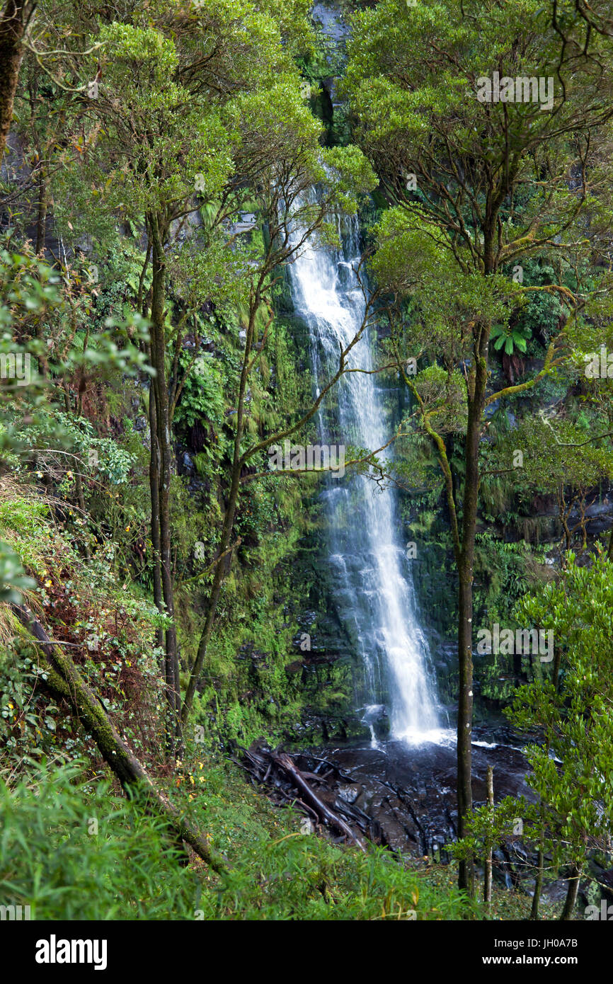 Victoria fall national park hi-res stock photography and images - Alamy