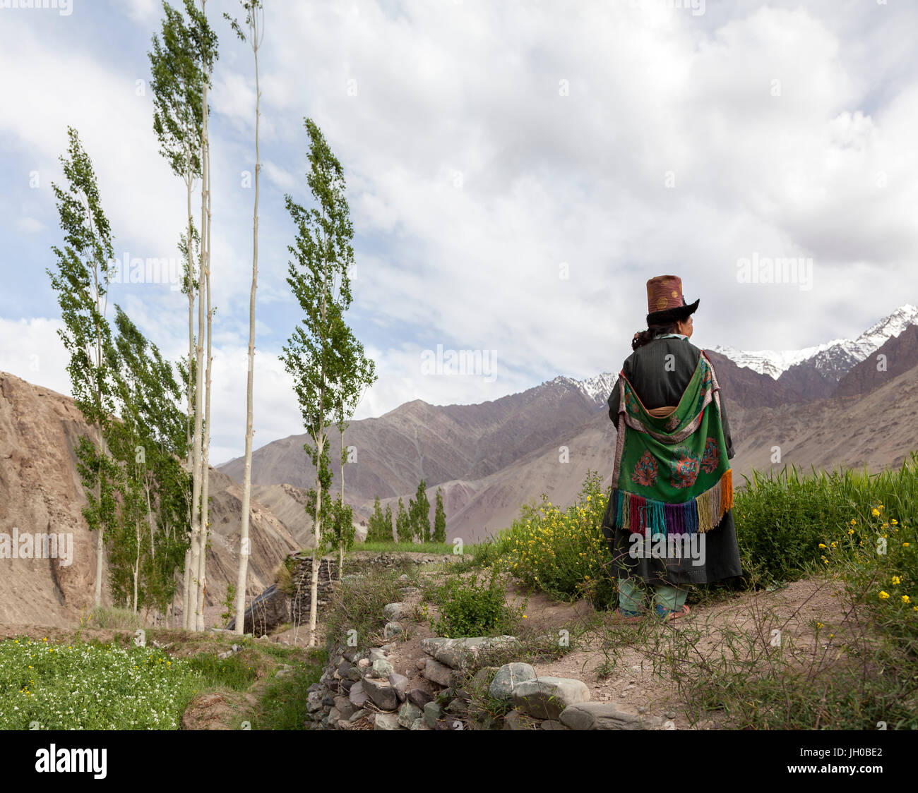 Ladakh lady watching over her fields in Ladakh Stock Photo - Alamy