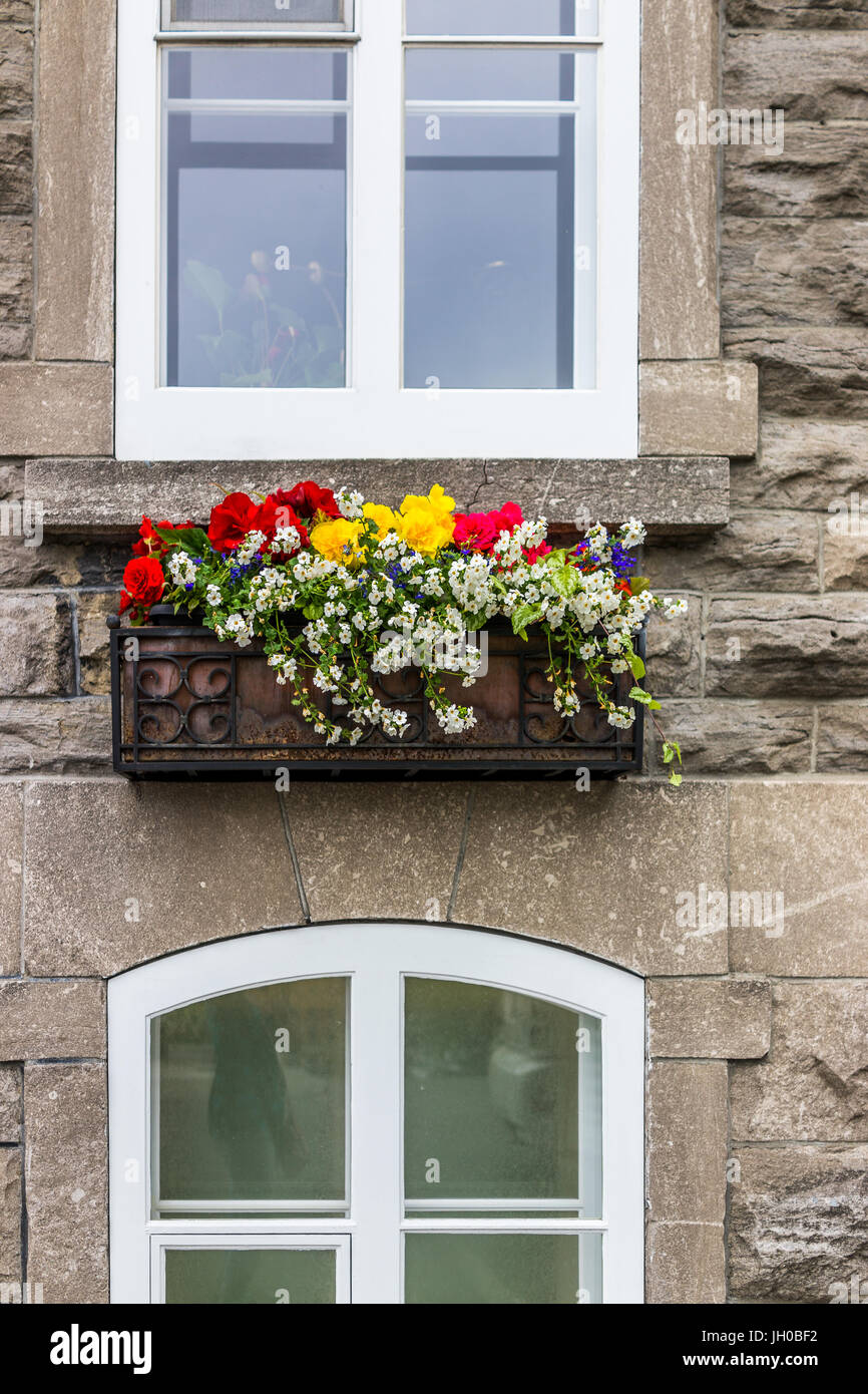 Basket window hi-res stock photography and images - Alamy