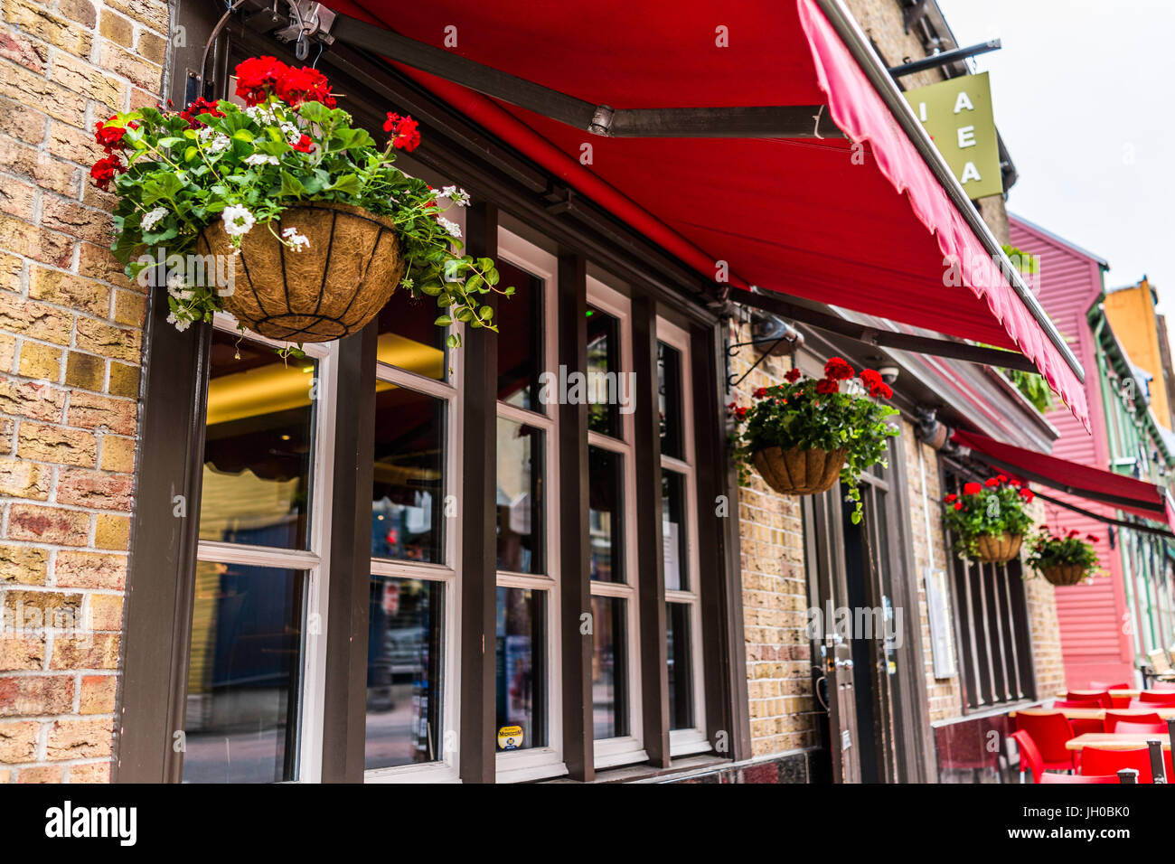 Red geranium flowers hanging in flower baskets by windows outside ...