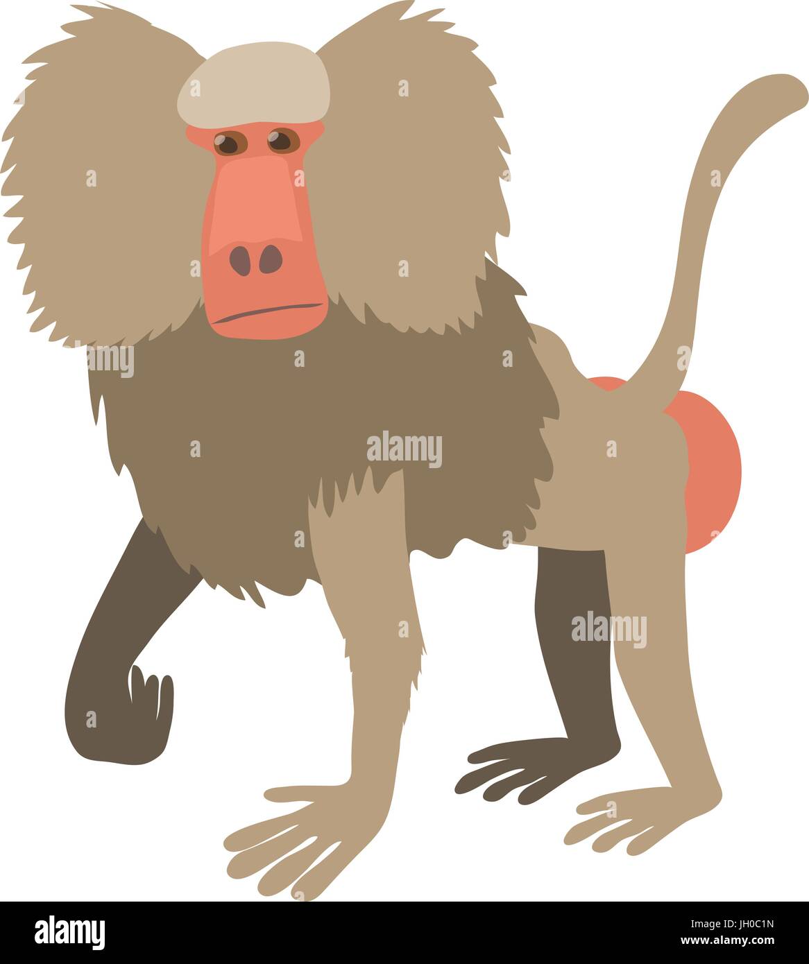 Baboon icon, cartoon style Stock Vector Image & Art - Alamy
