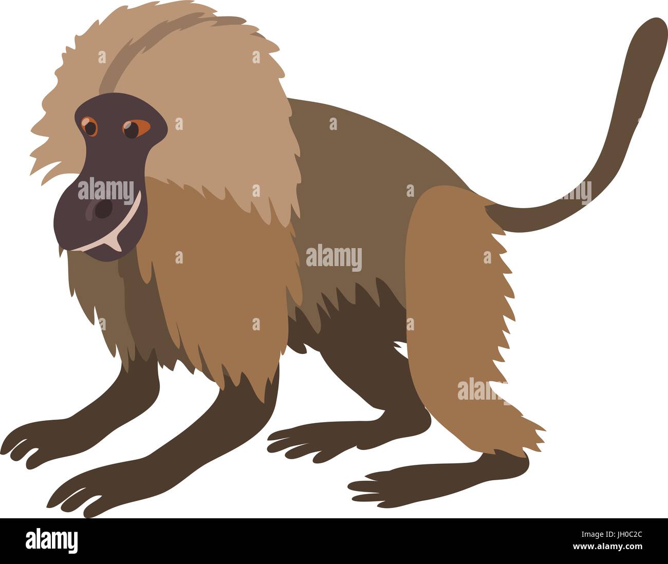 Gelada monkey icon, cartoon style Stock Vector Image & Art - Alamy
