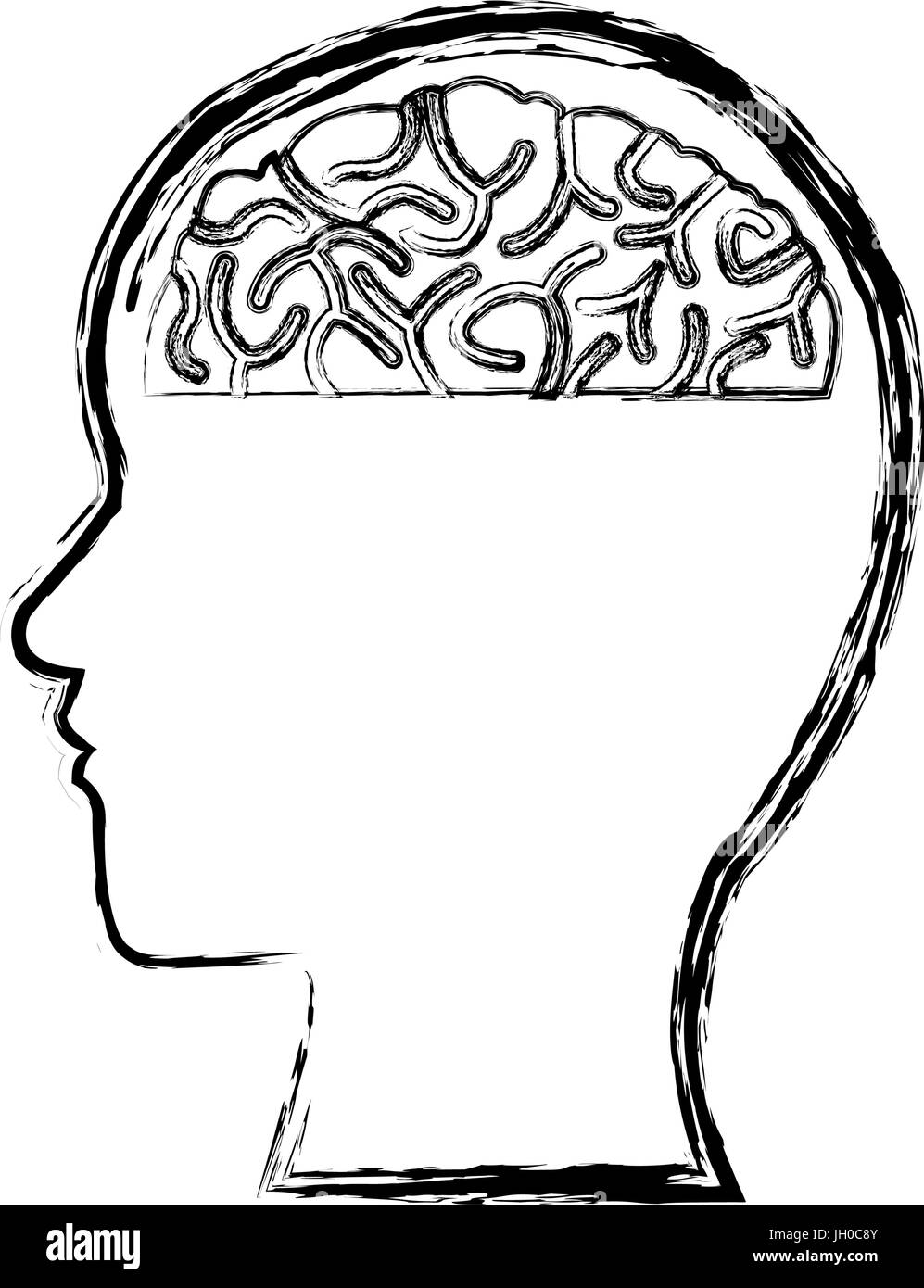 human head and brain mind concept Stock Vector Image & Art - Alamy