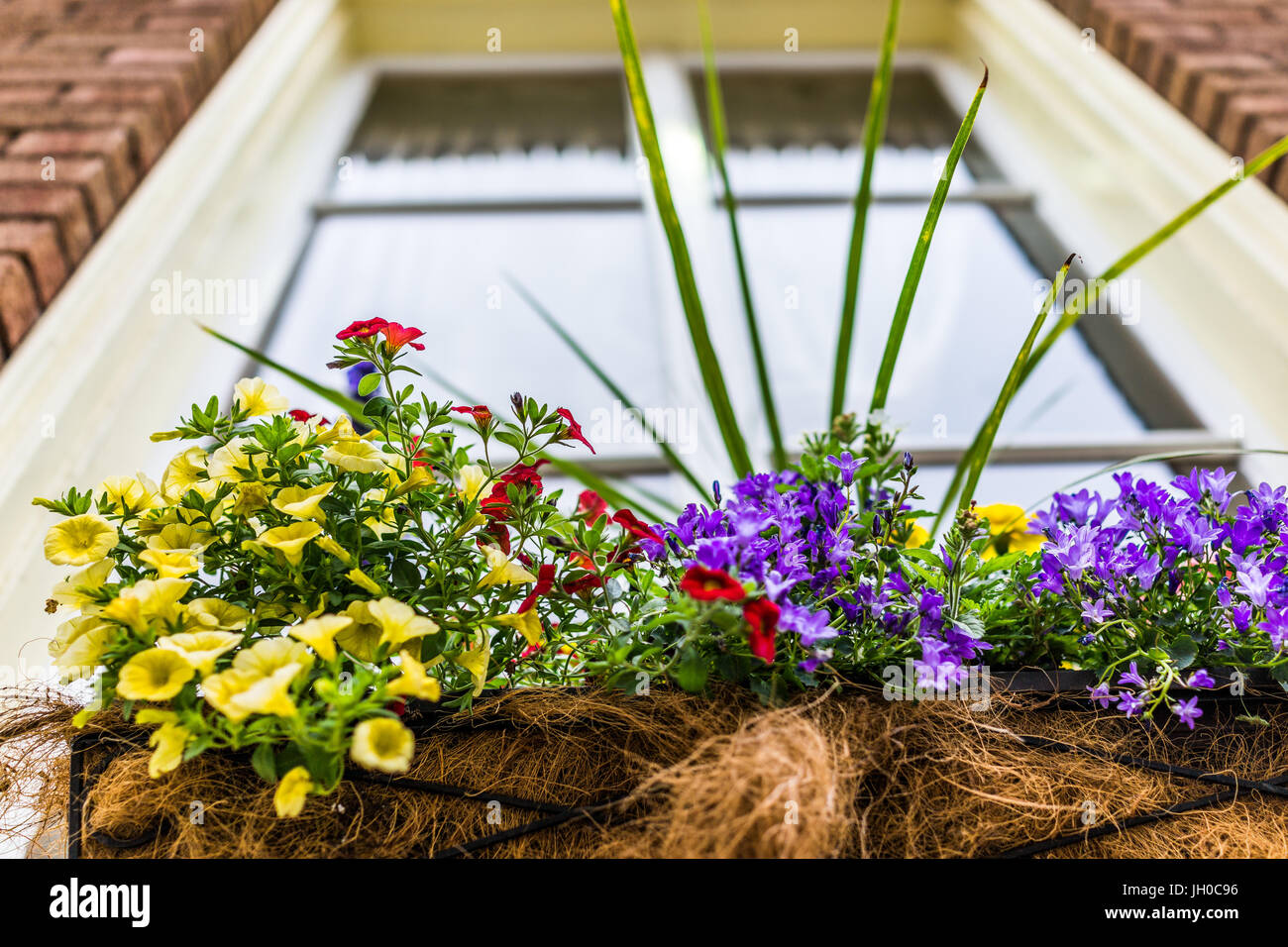 Basket window hi-res stock photography and images - Alamy