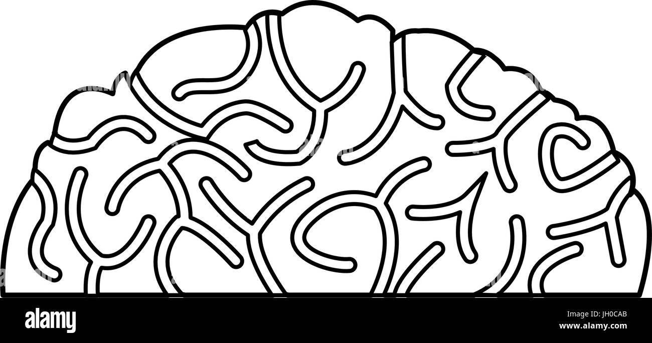 human brain idea creativity thinking memory image Stock Vector Image ...