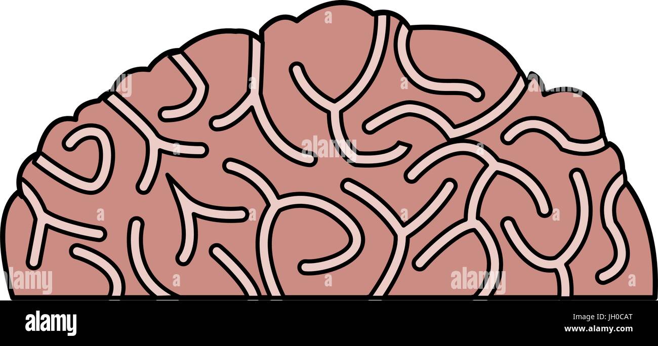 human brain idea creativity thinking memory image Stock Vector Image ...