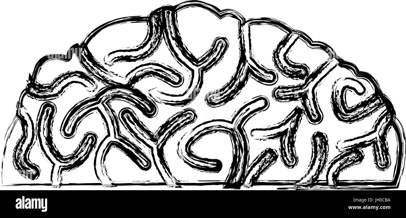 human brain idea creativity thinking memory image Stock Vector Image ...