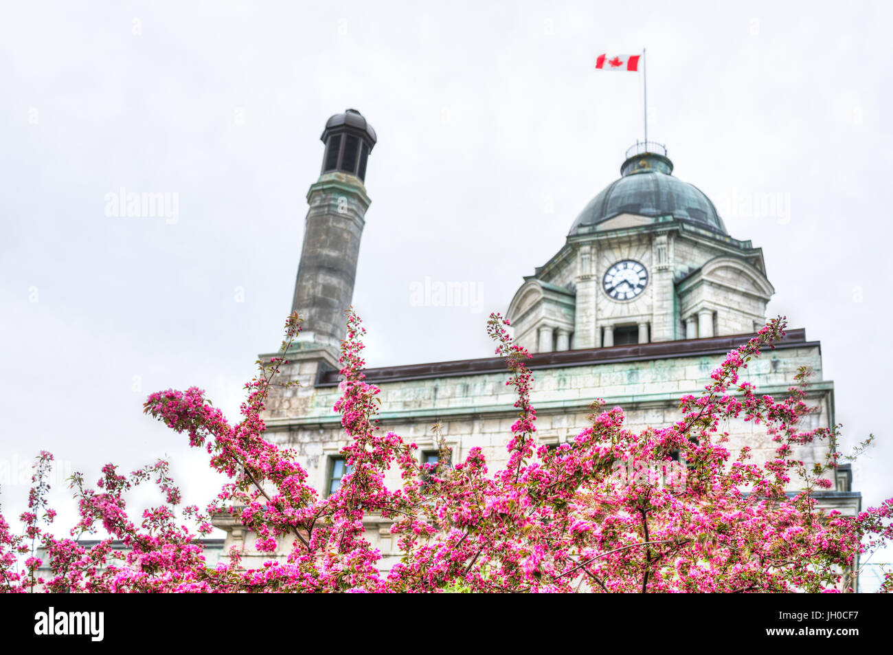 Pink quebec hi-res stock photography and images - Alamy