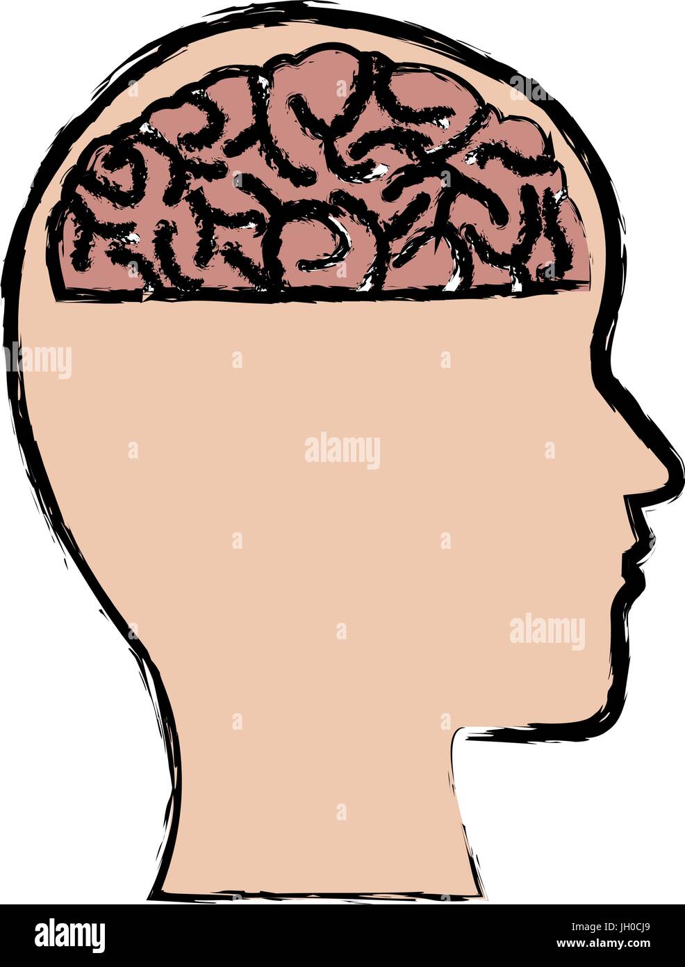 human head and brain mind concept Stock Vector Image & Art - Alamy