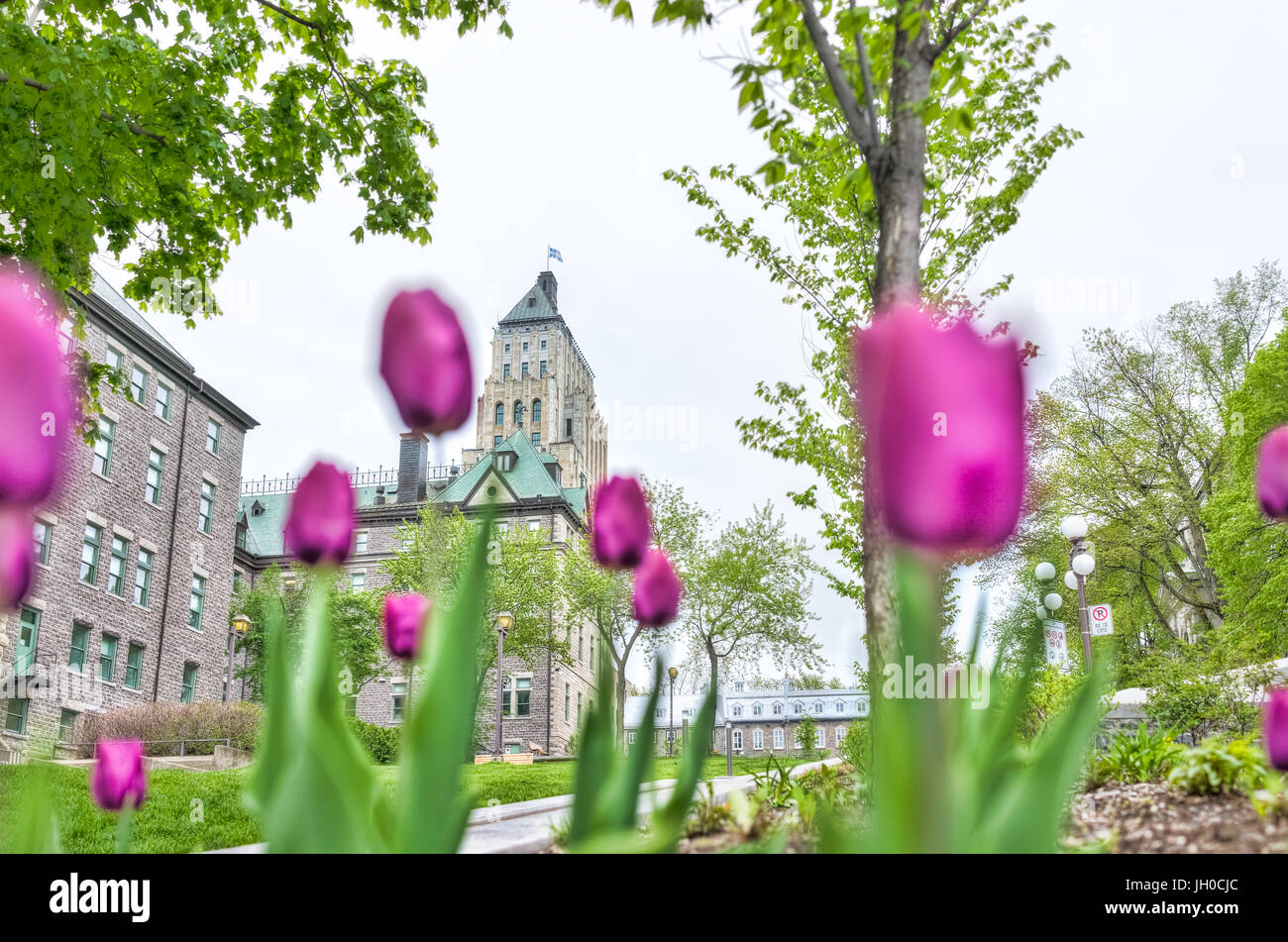 Tall buildings quebec hi-res stock photography and images - Alamy