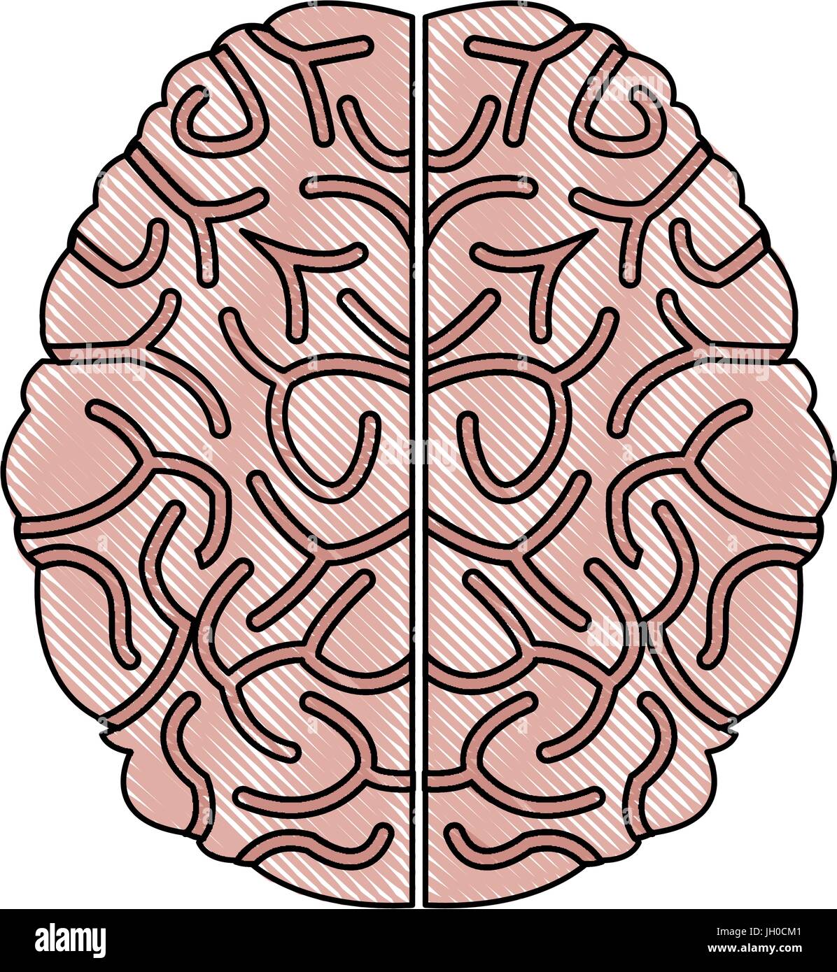 human brain idea creativity thinking memory image Stock Vector Image ...