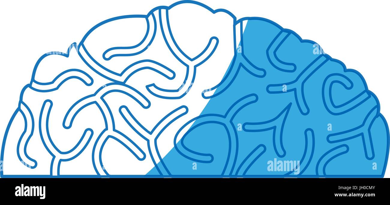human brain idea creativity think Stock Vector Image & Art - Alamy